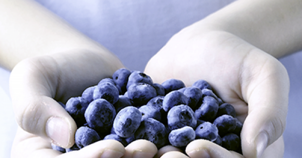 SLOE BERRIES - BOTANICALLY STONE FRUITS OR DRUPESV